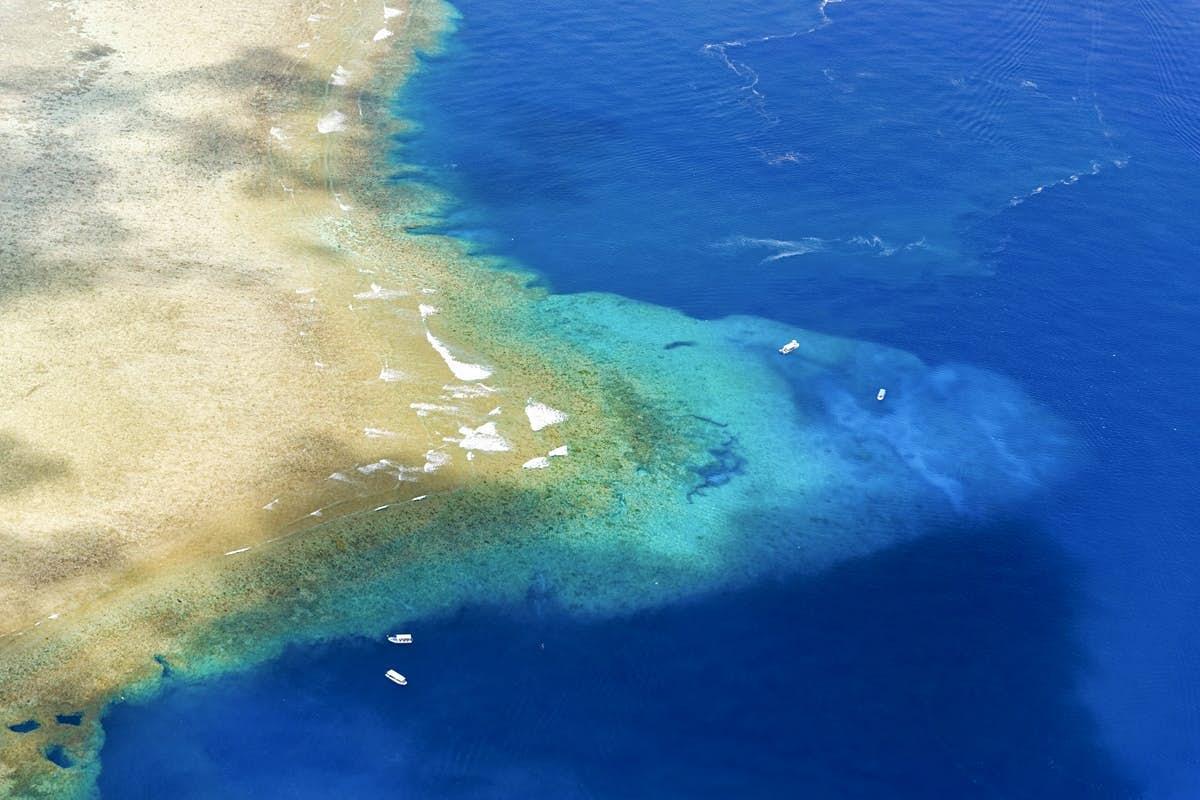 Top 7 best diving spots in the world for beginners and pro divers